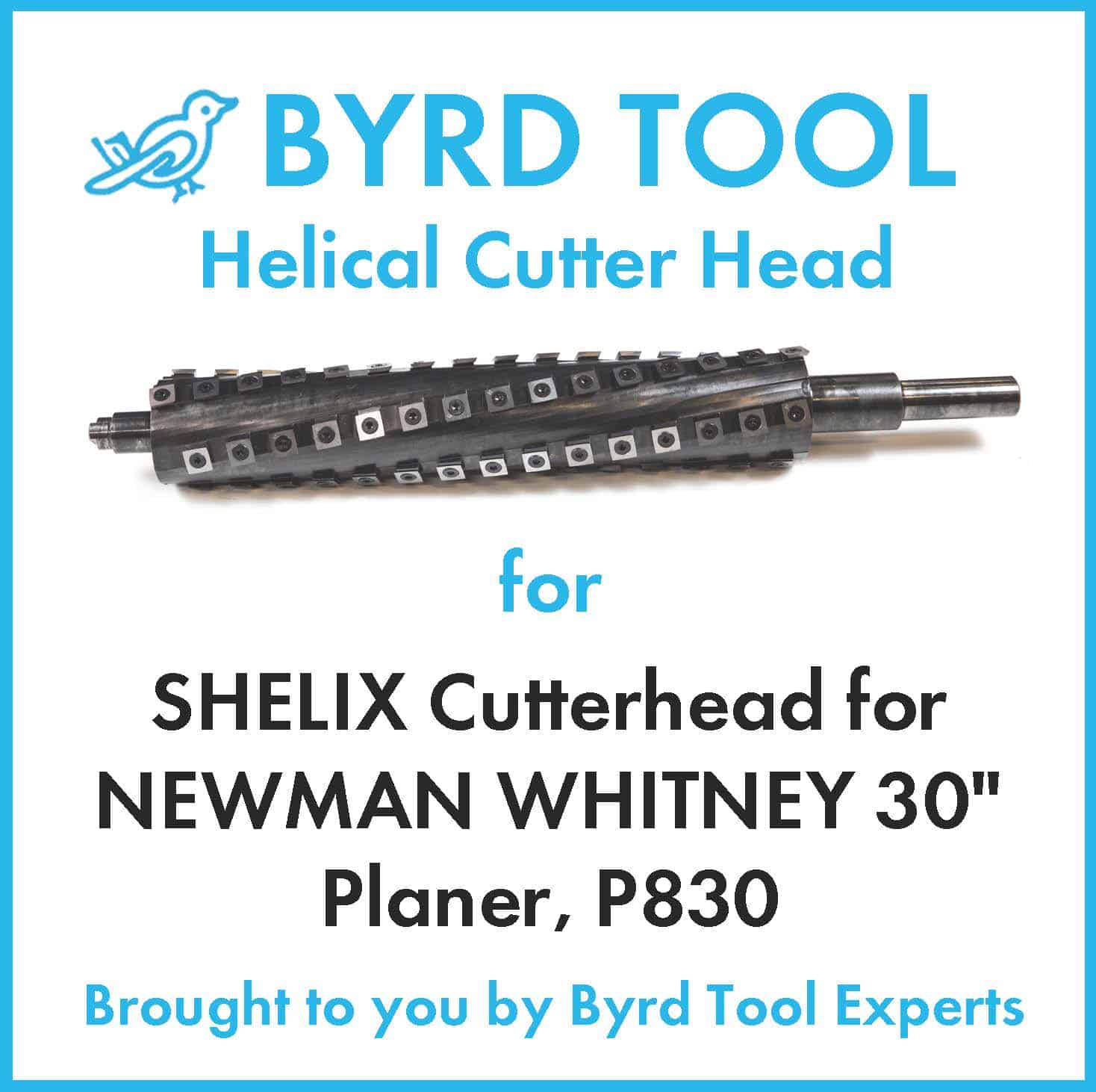 SHELIX Cutterhead for NEWMAN WHITNEY 30" Planer, P830 – Byrd Tool Experts